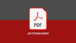 Formular zur Auskunft des Einkommens von Unternehmern